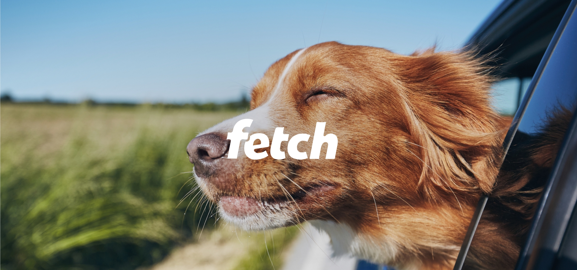 fetch.｜Works｜ALIVE Vietnam｜Design, Branding, Marketing support services ...